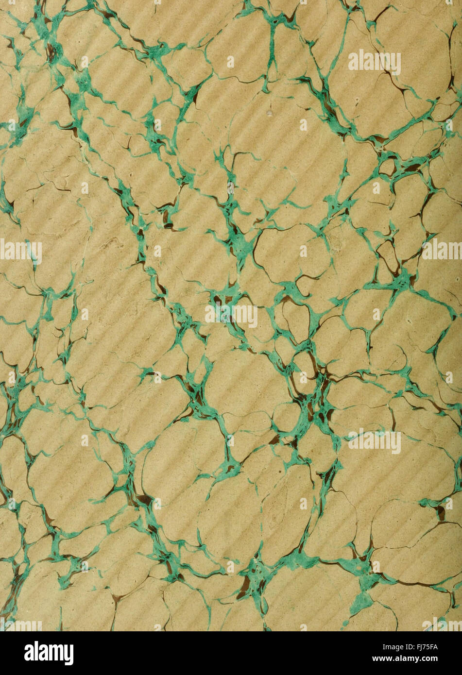 Pure mathematics hi-res stock photography and images - Alamy