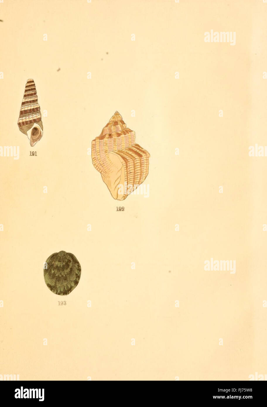 Japanese catalogs hi-res stock photography and images - Alamy