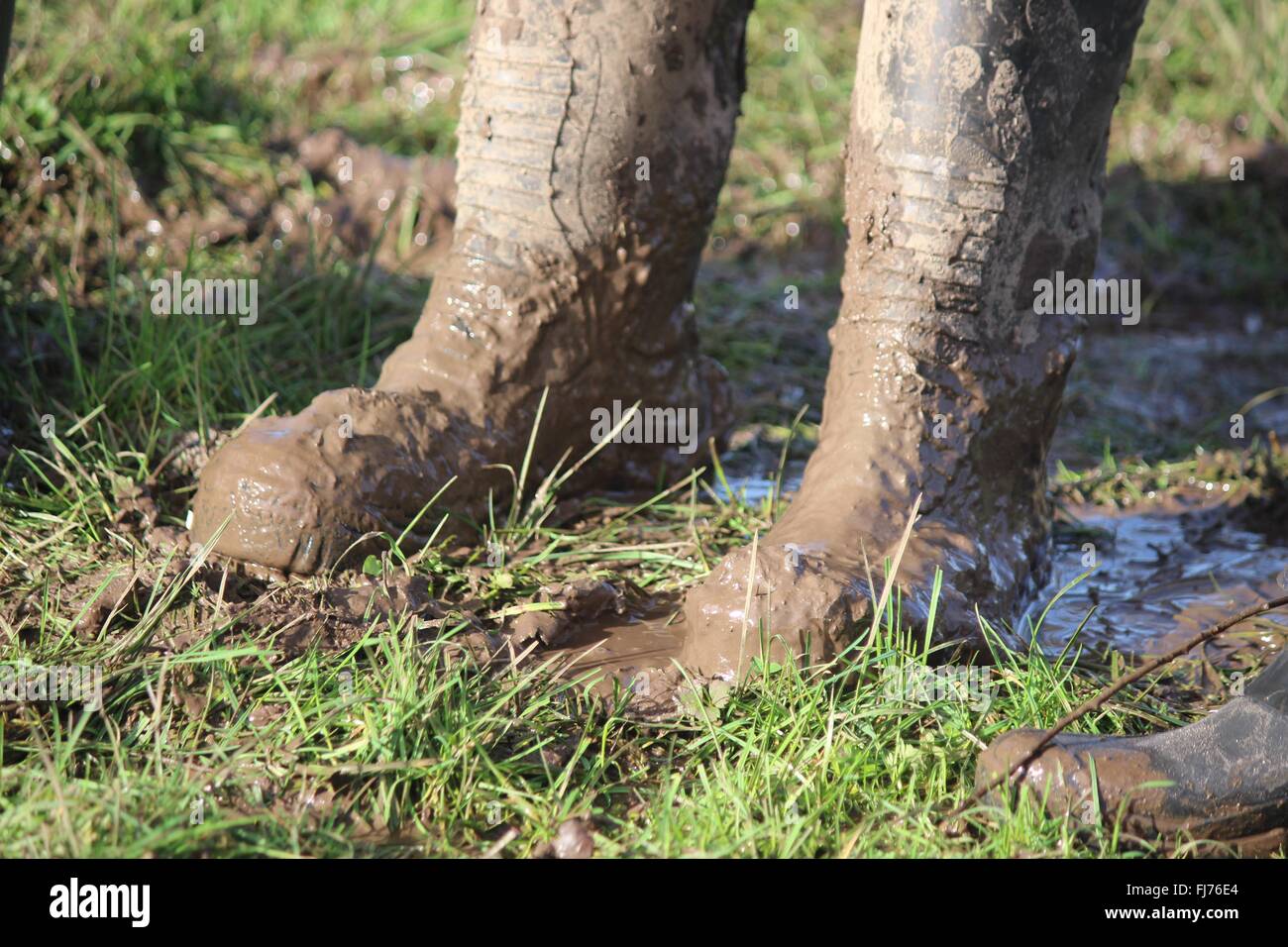 Mud glorious mud hi-res stock photography and images - Alamy