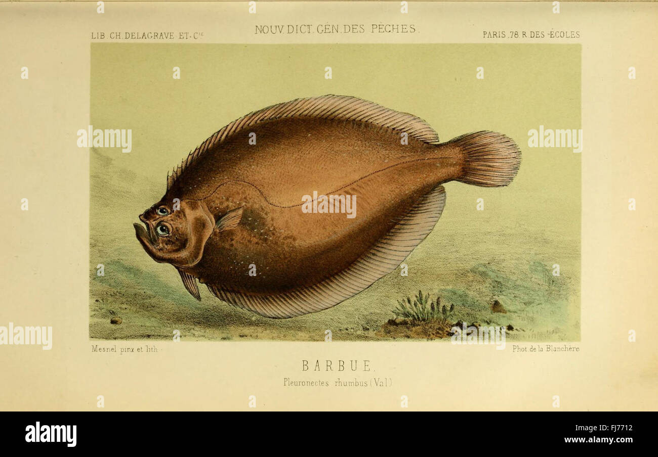 La Pêche et les poissons, a detailed study of fisheries and fish ...