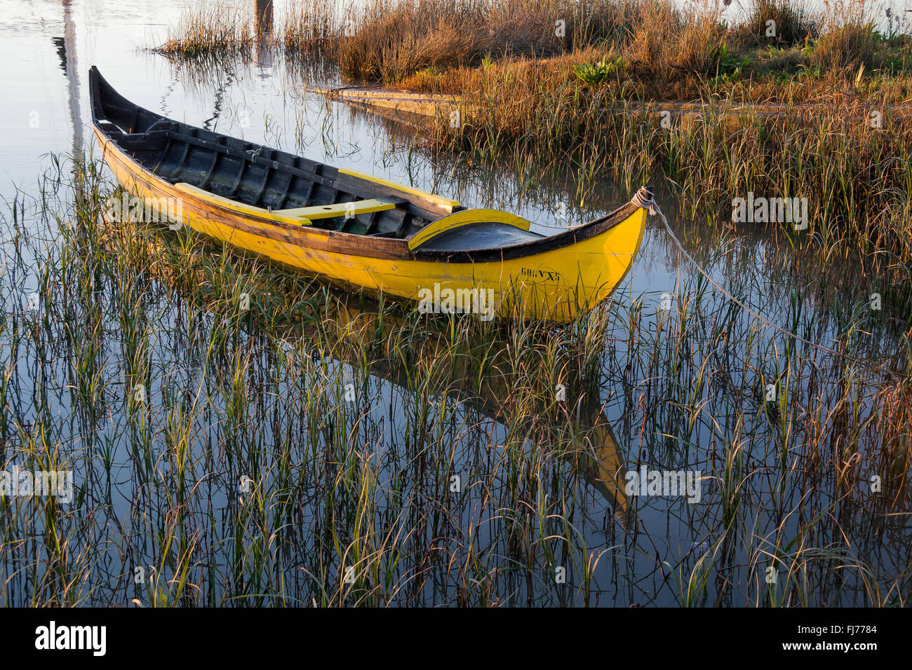 yellow empty boat docked in a river Stock Photo - Alamy