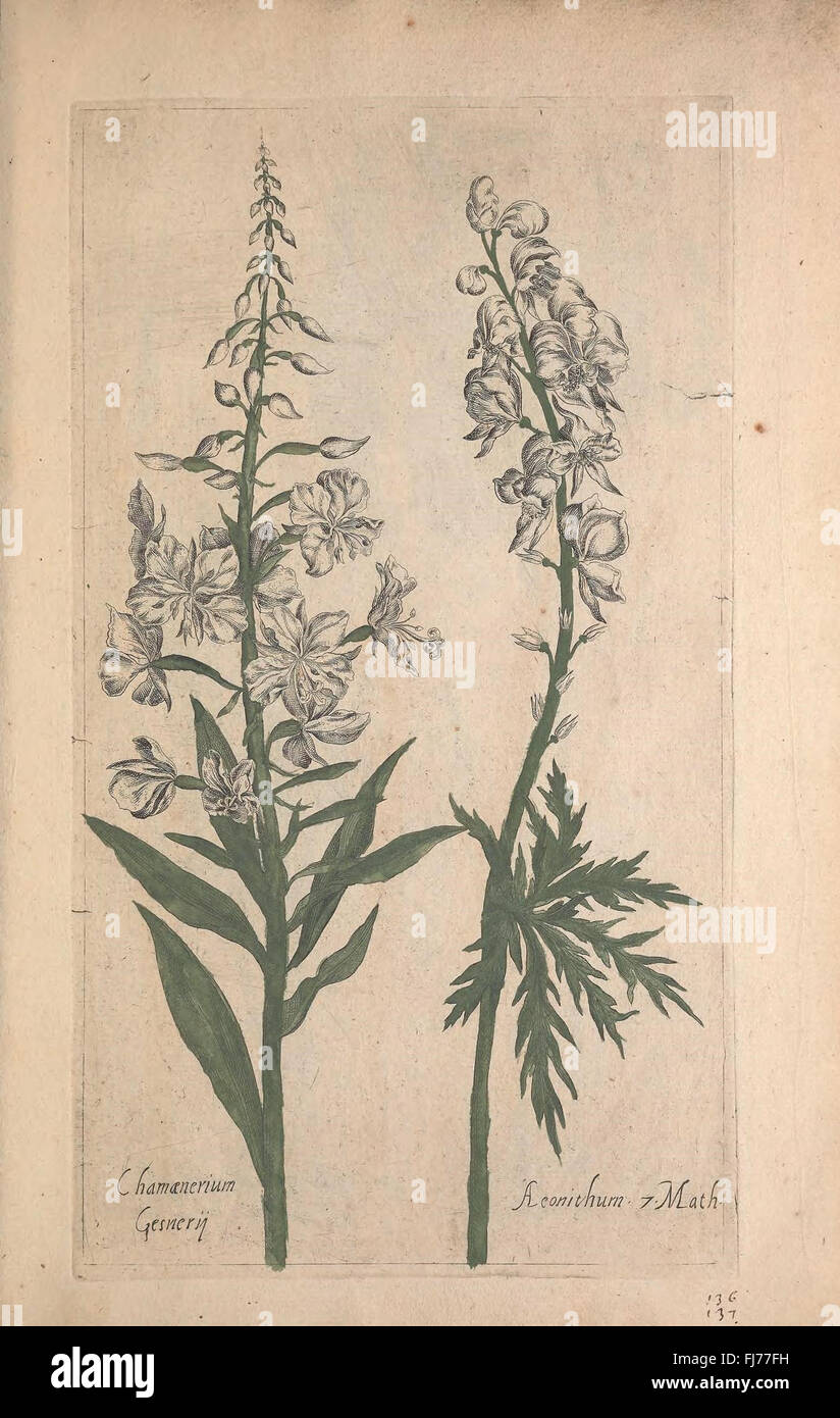 The Royal Garden of King Louis XIII of France and Navarre, Fig. 136-137 ...