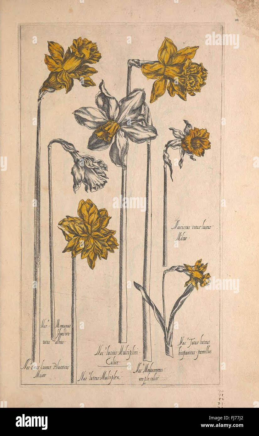 Landscaping works hi-res stock photography and images - Alamy