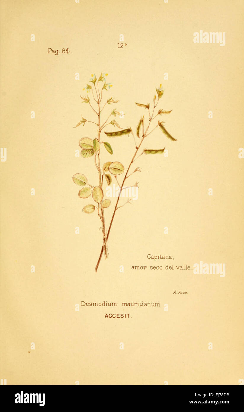 The venomous snakes of Cauca, Colombia, with detailed information on ...