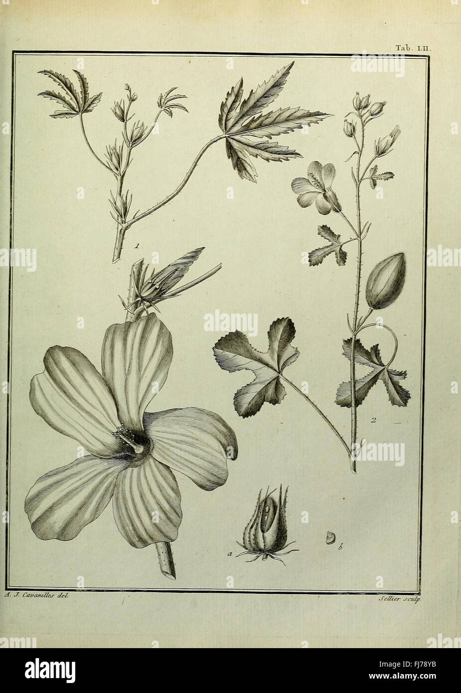 Lii font hi-res stock photography and images - Alamy