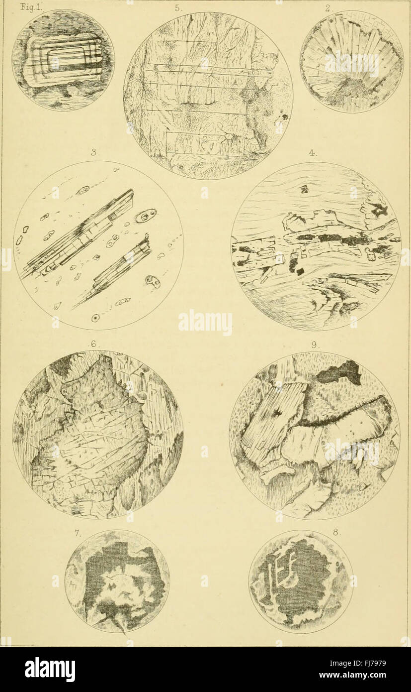 An article from the 'Monthly Microscopical Journal,' a publication by ...