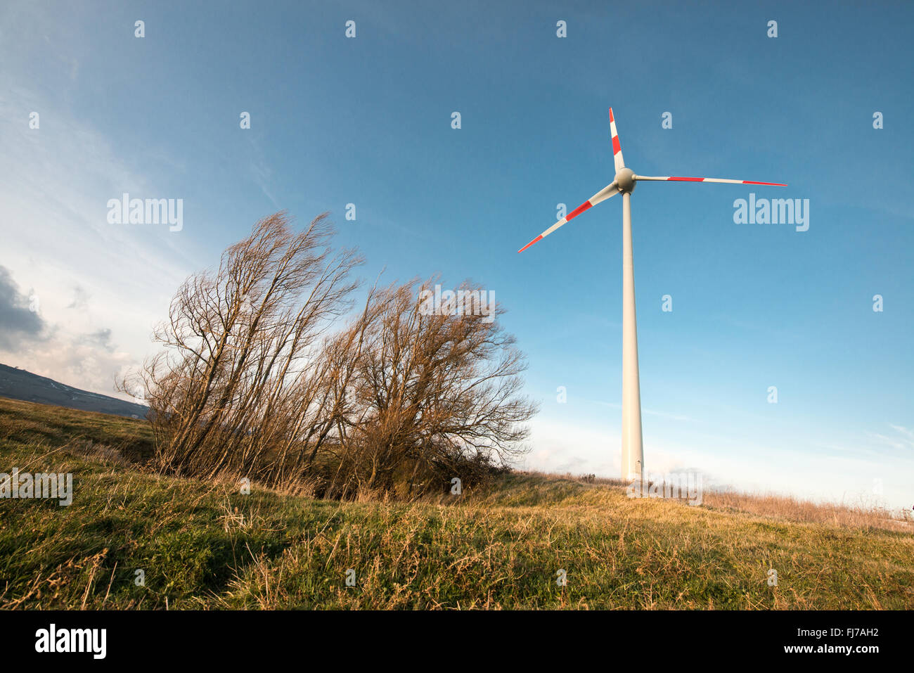 Strong wind hi-res stock photography and images - Alamy