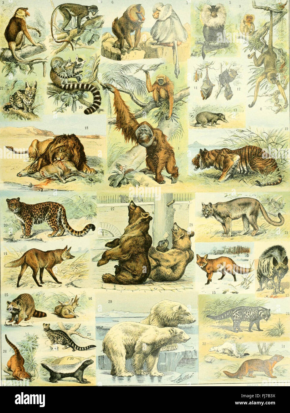 An illustrated, universal encyclopedic dictionary from 1898, providing ...