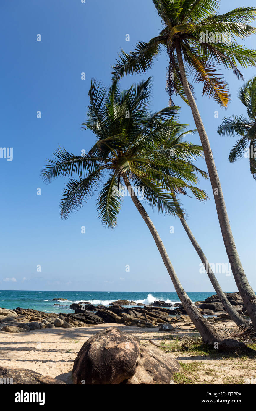 Goyambokka beach, Tangalle, Sri Lanka, Asia Stock Photo - Alamy