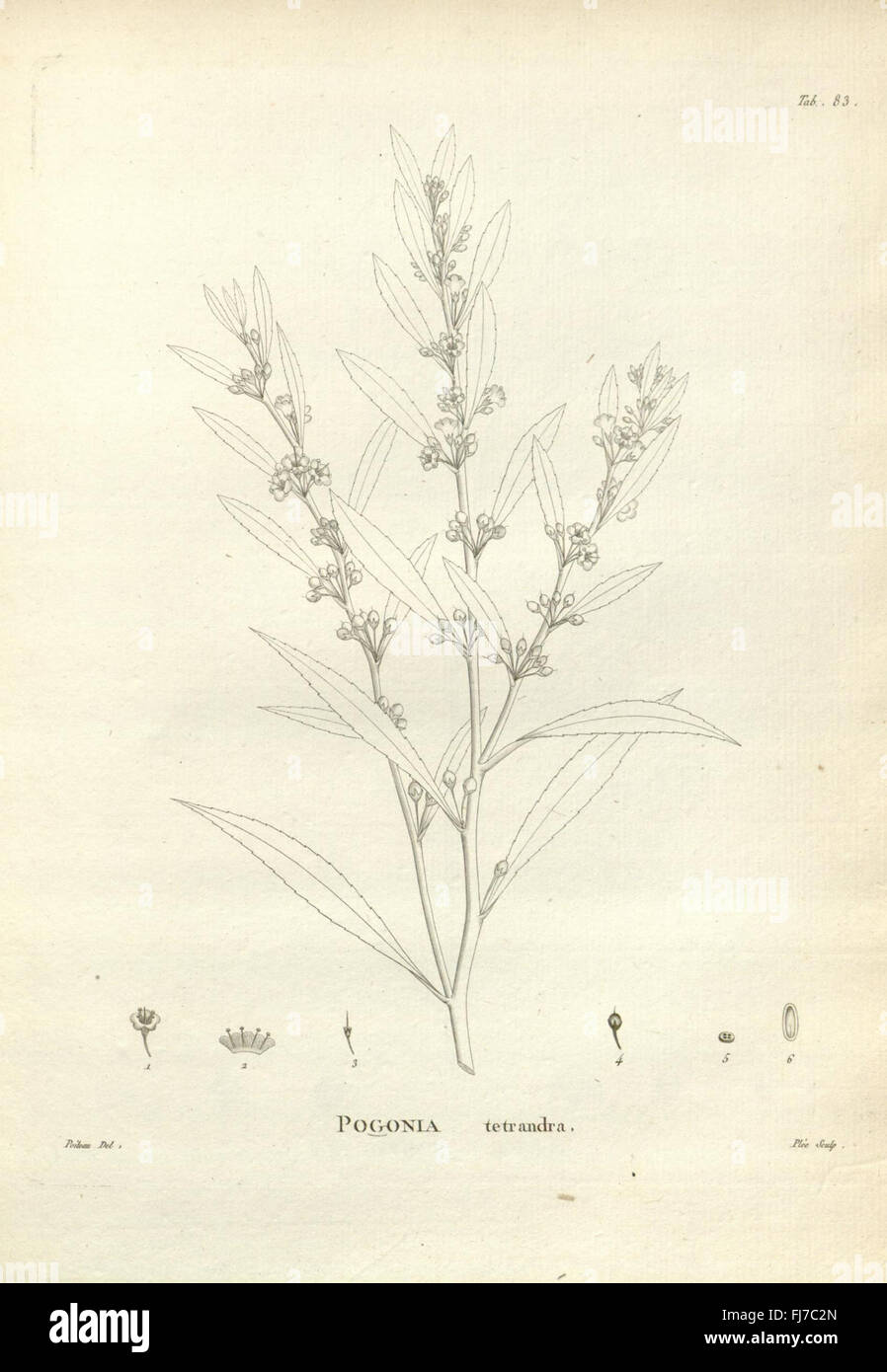 Specimen catalog hi-res stock photography and images - Alamy