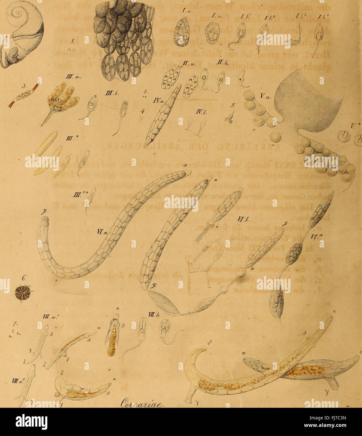 1827 scientific journal covering advancements in physics and medicine ...