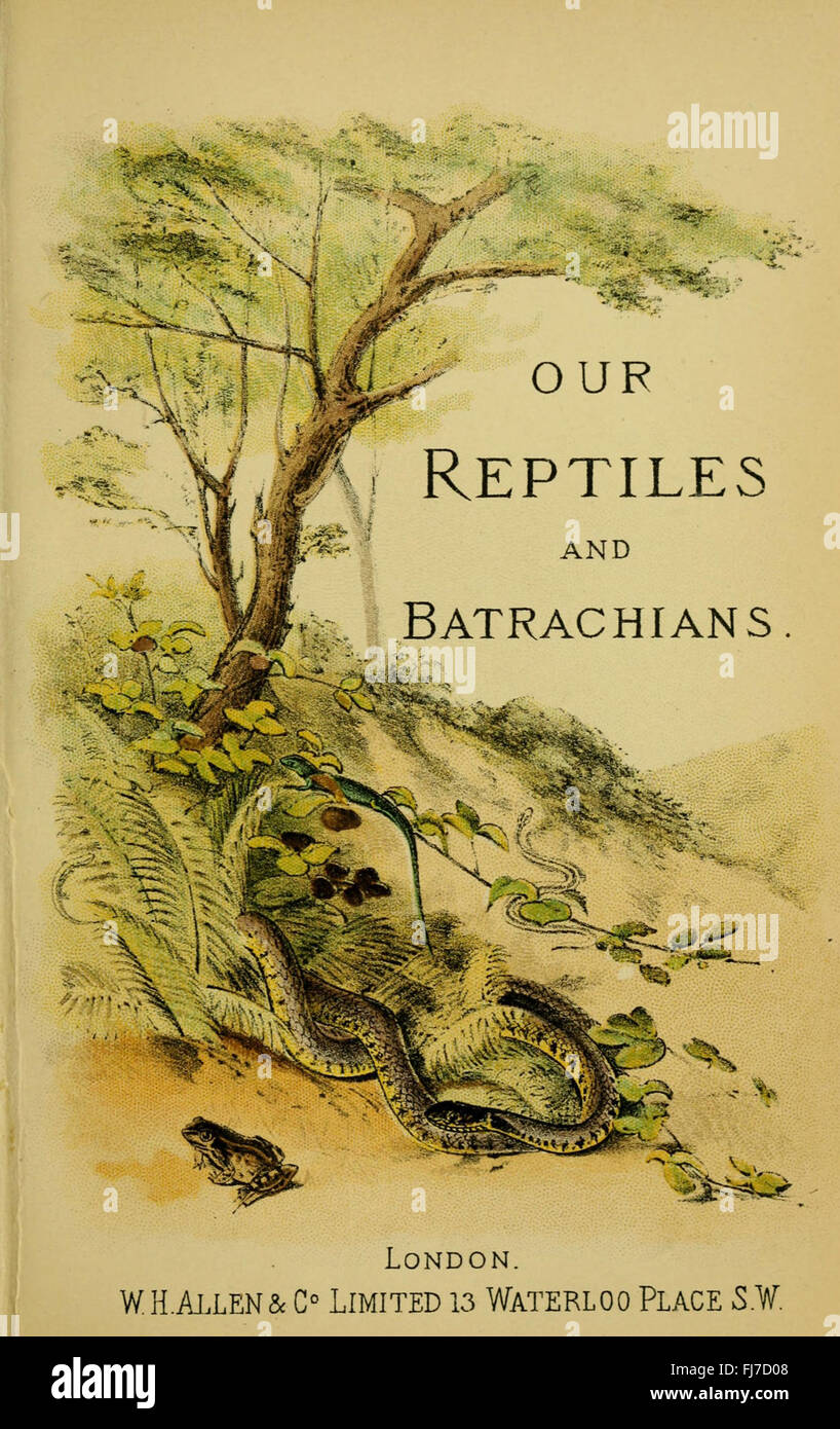 An in-depth guide to the reptiles and amphibians of Great Britain, with ...
