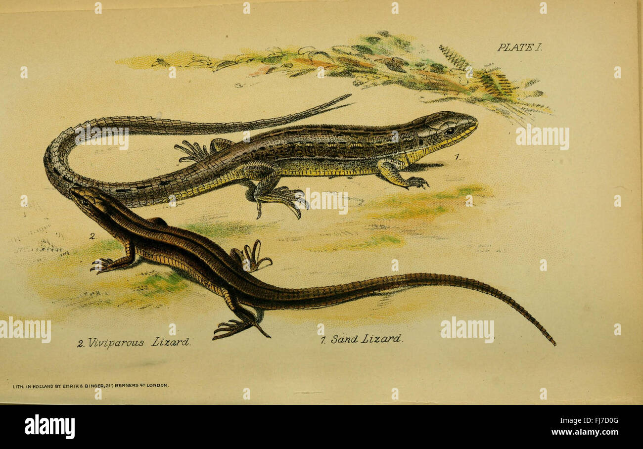 A study of reptiles and amphibians from Great Britain, focusing on ...
