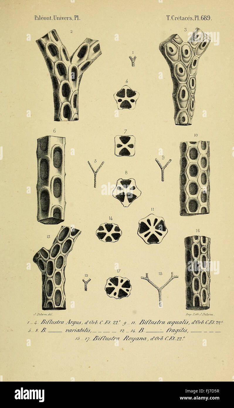 A French paleontology work focusing on Cretaceous and Jurassic fossils ...
