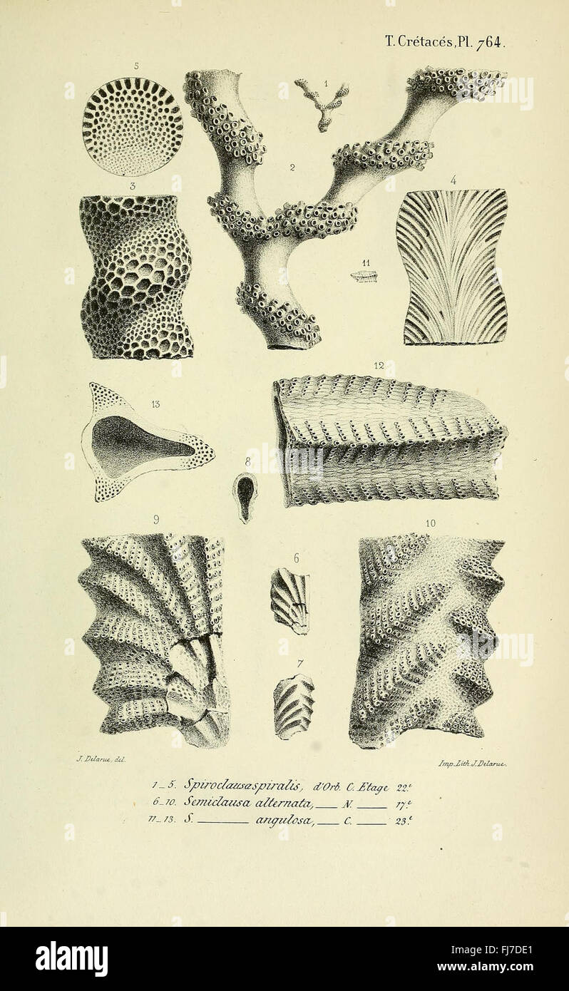 A paleontological work focused on the fossils of France, covering ...