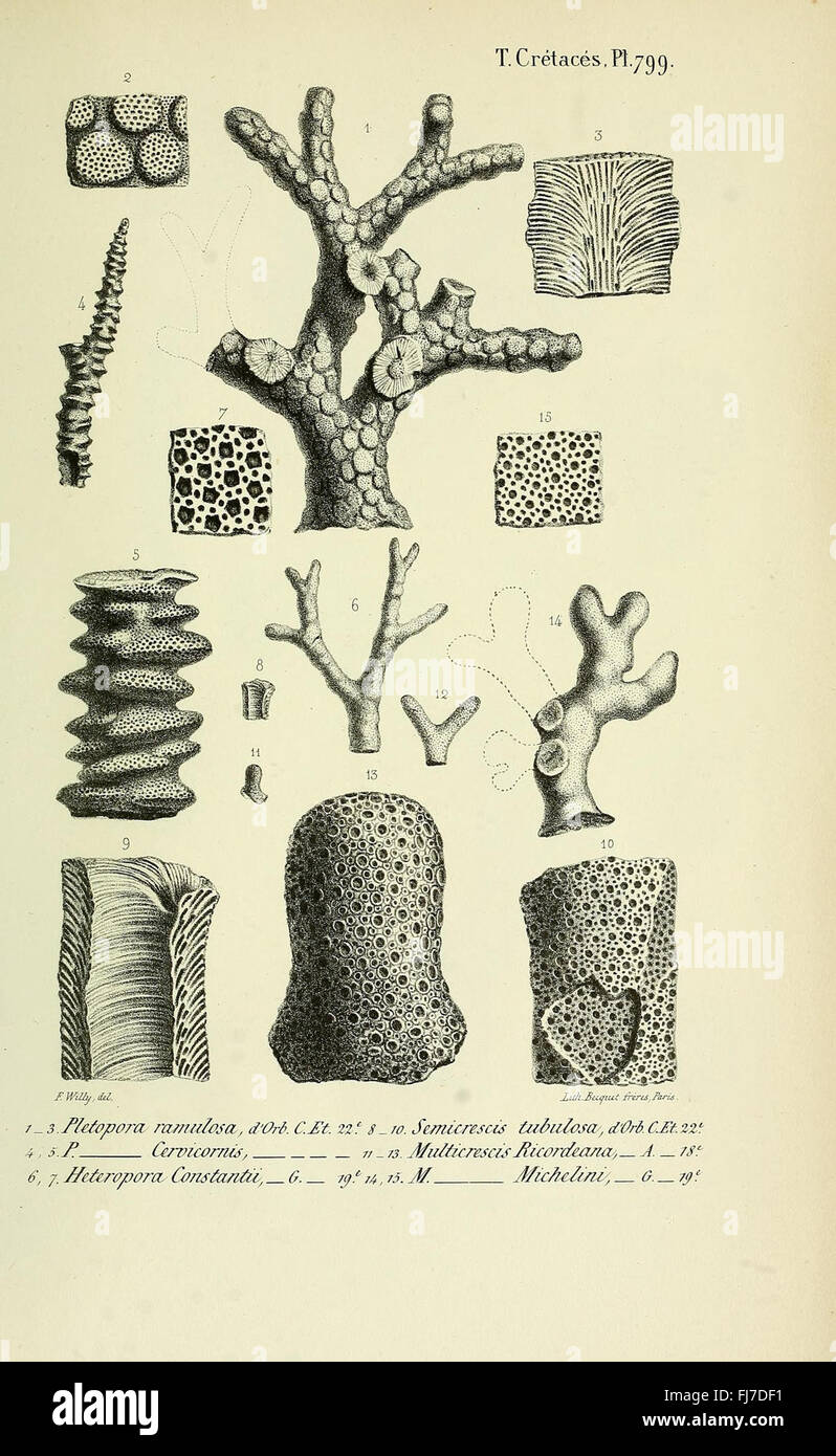 A detailed study of French paleontology, covering fossil records from ...
