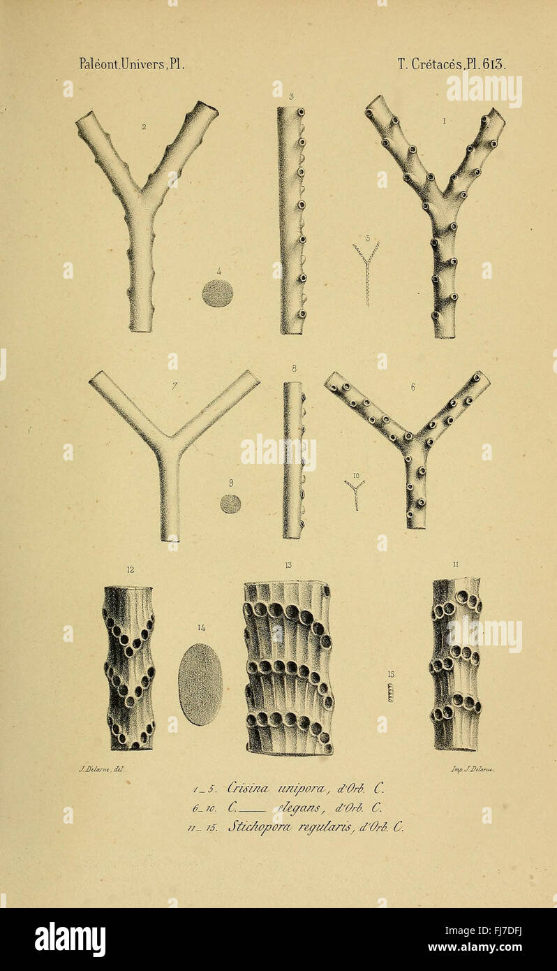 613 letter hi-res stock photography and images - Alamy