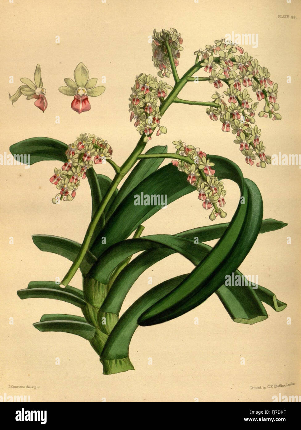 Peter h raven hi-res stock photography and images - Alamy