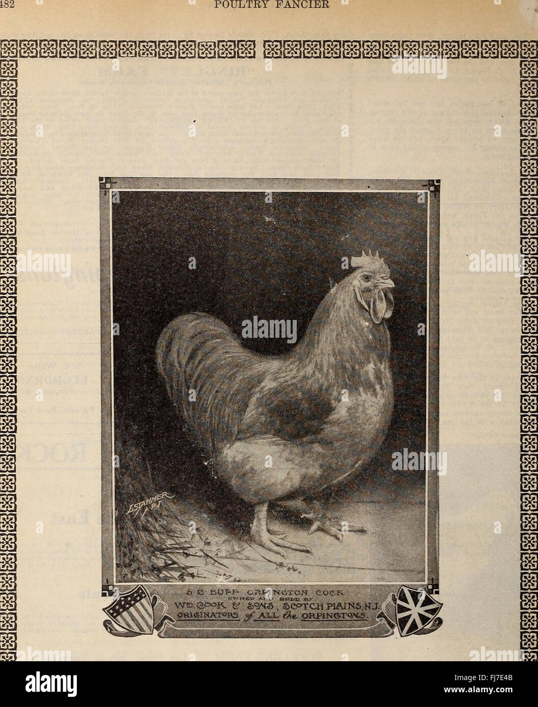 A guide to the breeding, care, and exhibition of poultry from 1912 ...