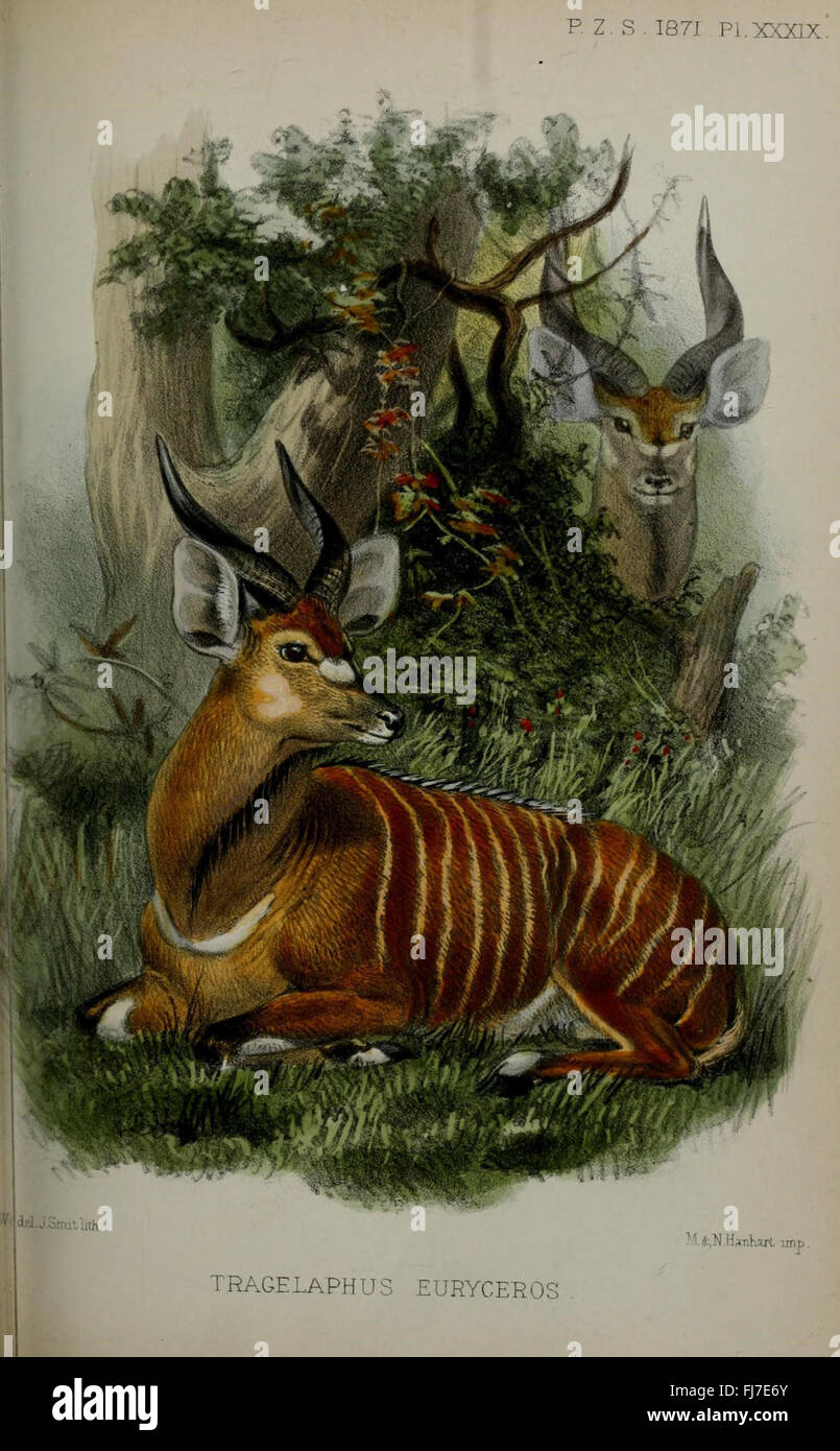 Proceedings of the Zoological Society of London, Natural History Museum ...