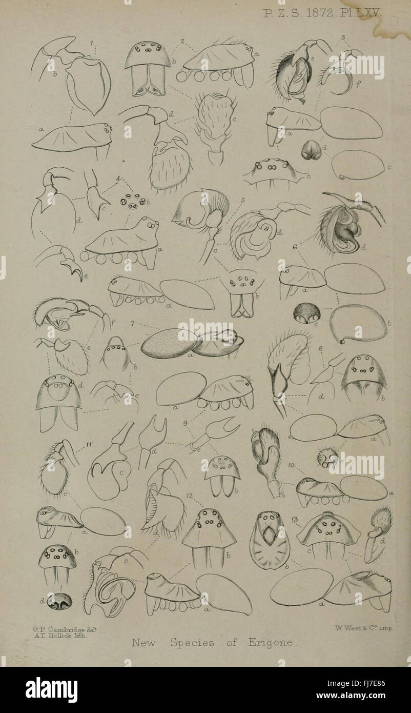 Proceedings of the Zoological Society of London, a journal documenting ...