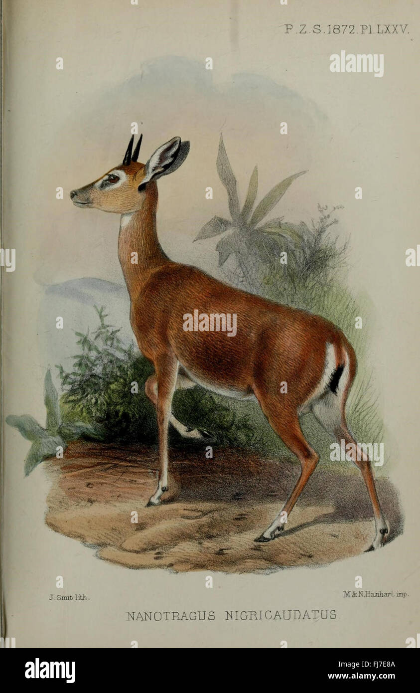 Scientific journal featuring research on zoology and natural history ...