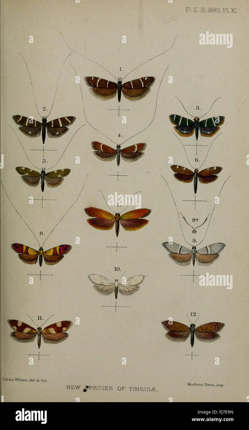Proceedings of the Zoological Society of London, Natural History Museum ...