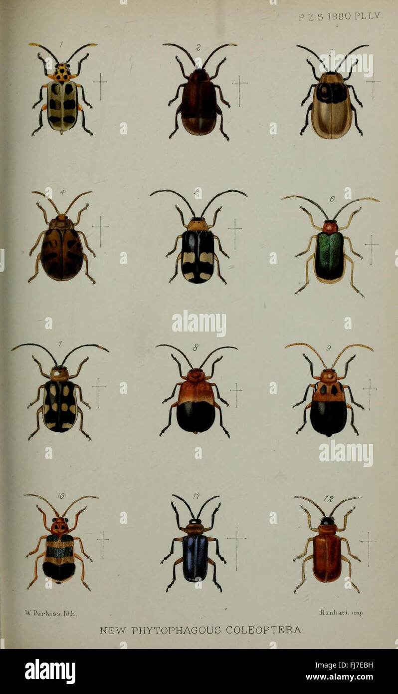 Natural History Museum Library, London, zoology, scientific journals ...
