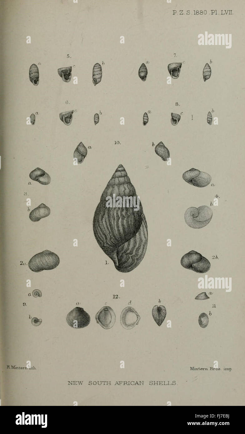 Proceedings of the Zoological Society of London, Natural History Museum ...