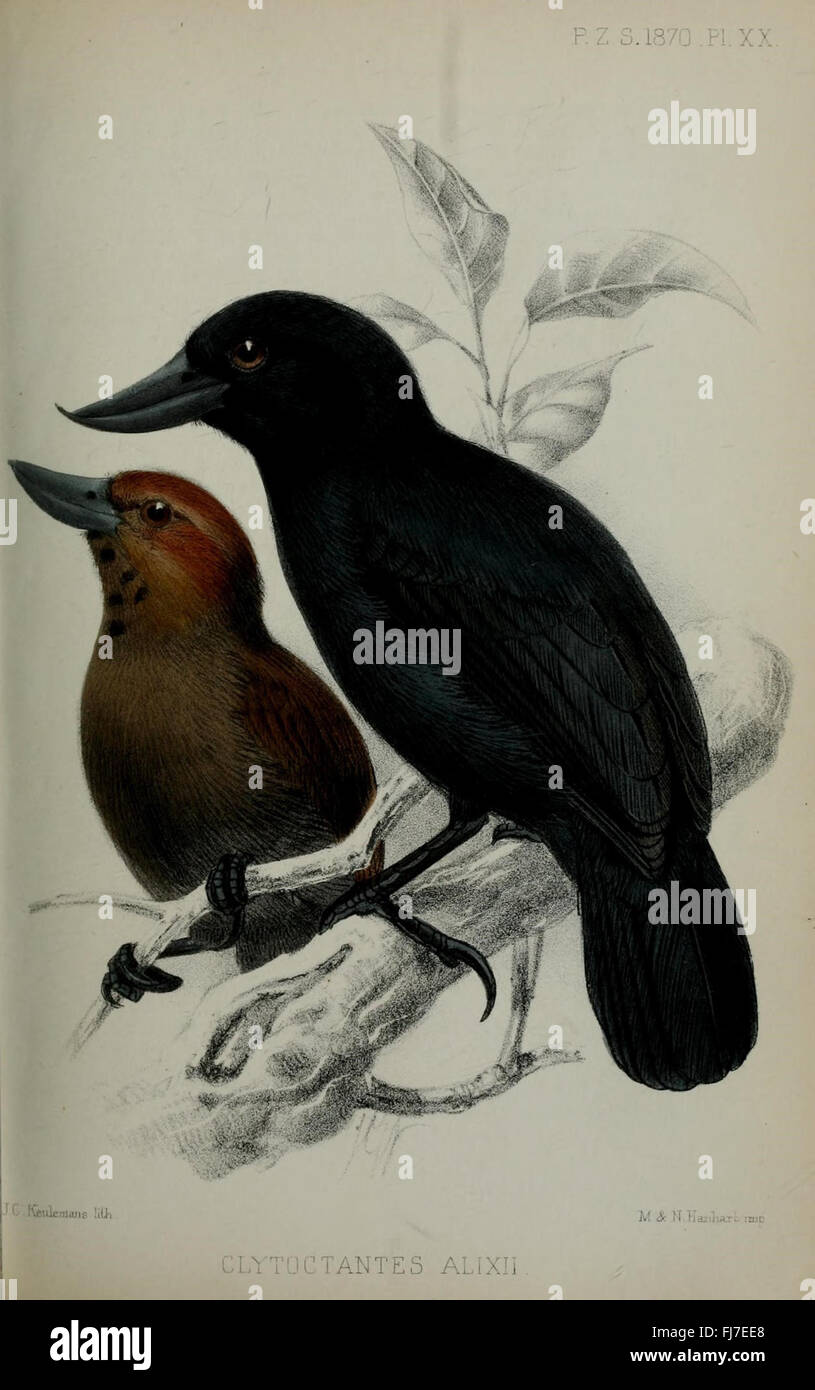 A volume documenting the proceedings of the Zoological Society of ...