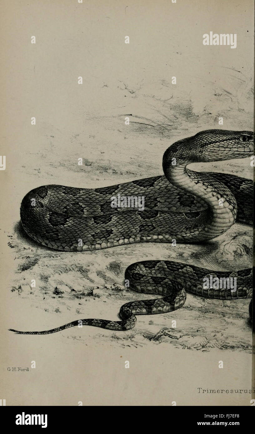 Zoological Society of London, Natural History Museum Library ...