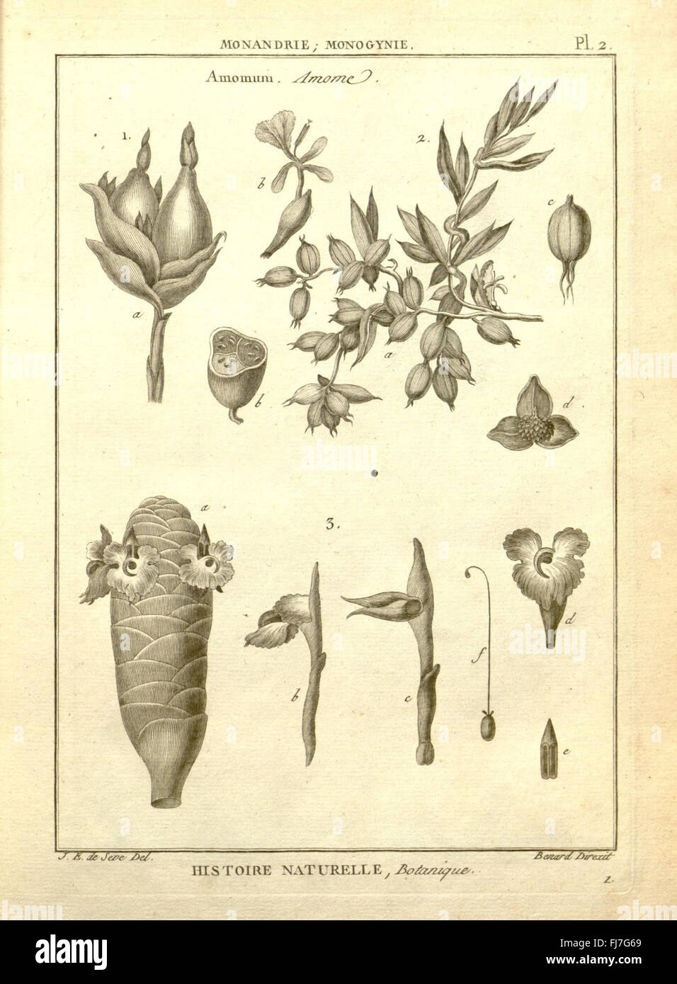 Dictionaries, Missouri Botanical Garden, Peter H. Raven Library ...