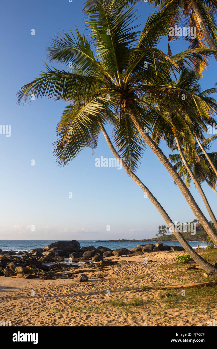 Goyambokka beach, Tangalle, Sri Lanka, Asia Stock Photo - Alamy