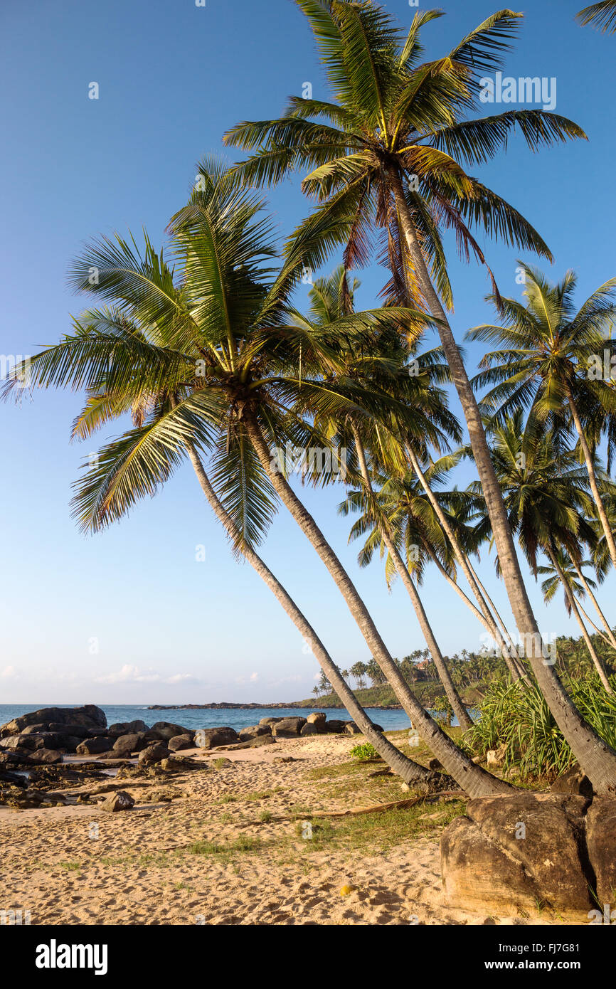 Goyambokka beach, Tangalle, Sri Lanka, Asia Stock Photo - Alamy