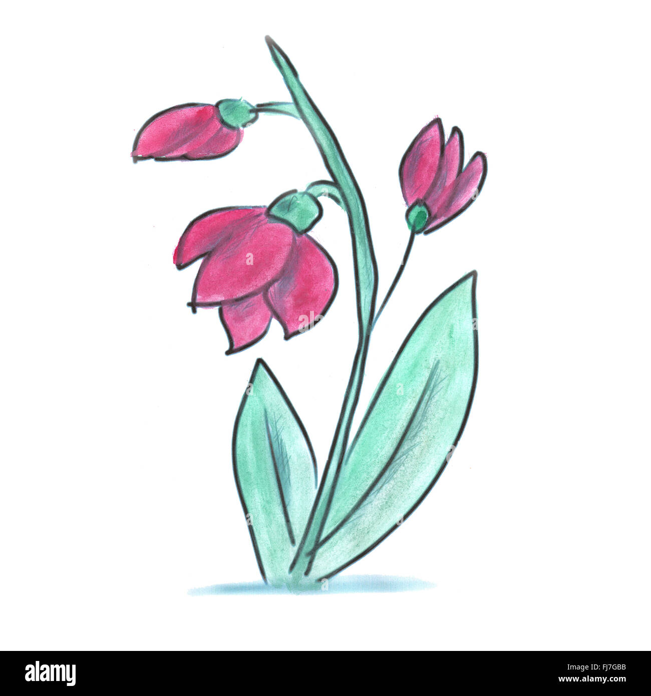 purple flower cartoon watercolor isolated handmade Stock Photo - Alamy