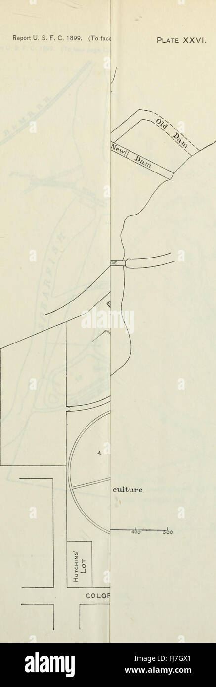 A report from the Commissioner detailing activities and developments ...