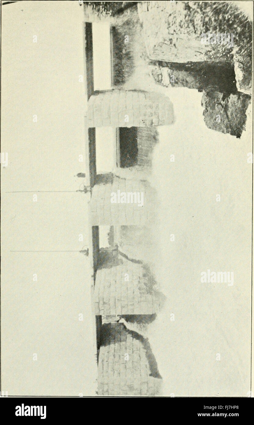 Official government documents from the Dominion of Canada, including ...