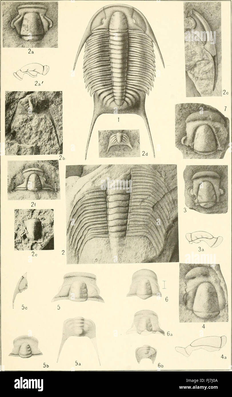 A diverse collection of scientific works published by the Smithsonian ...