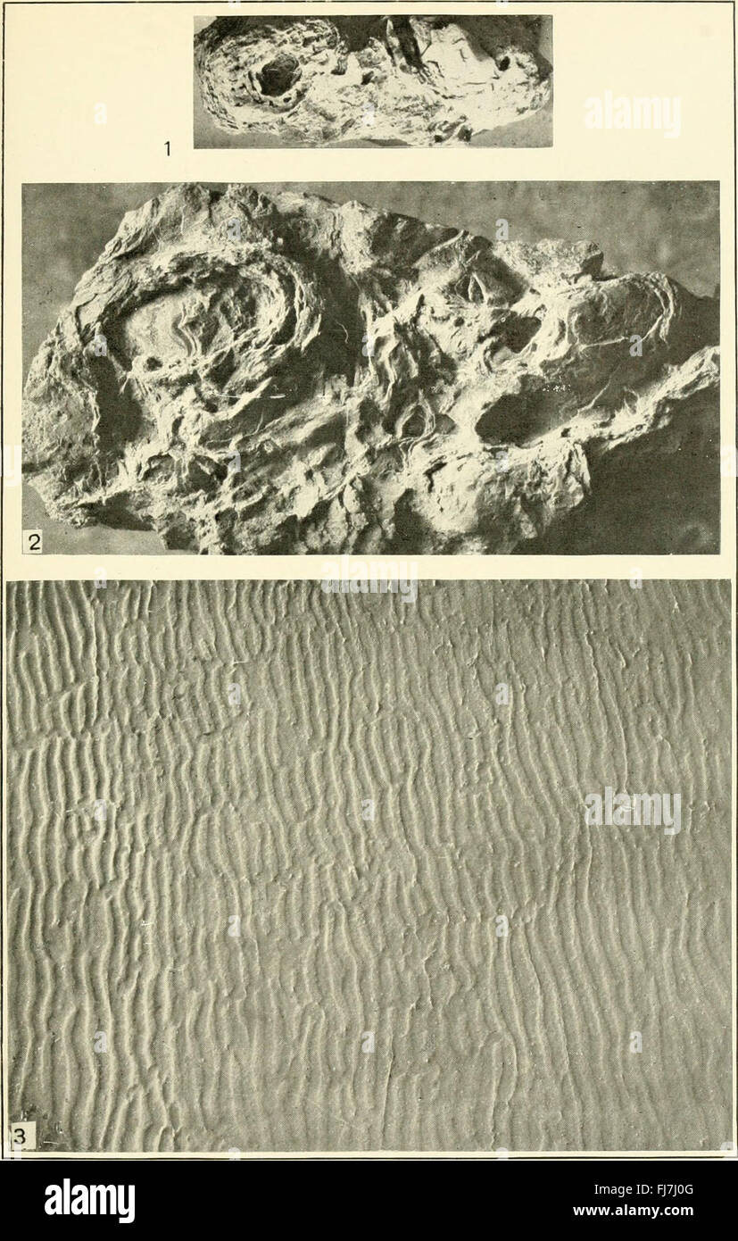 A collection of various scientific works and studies published by the ...