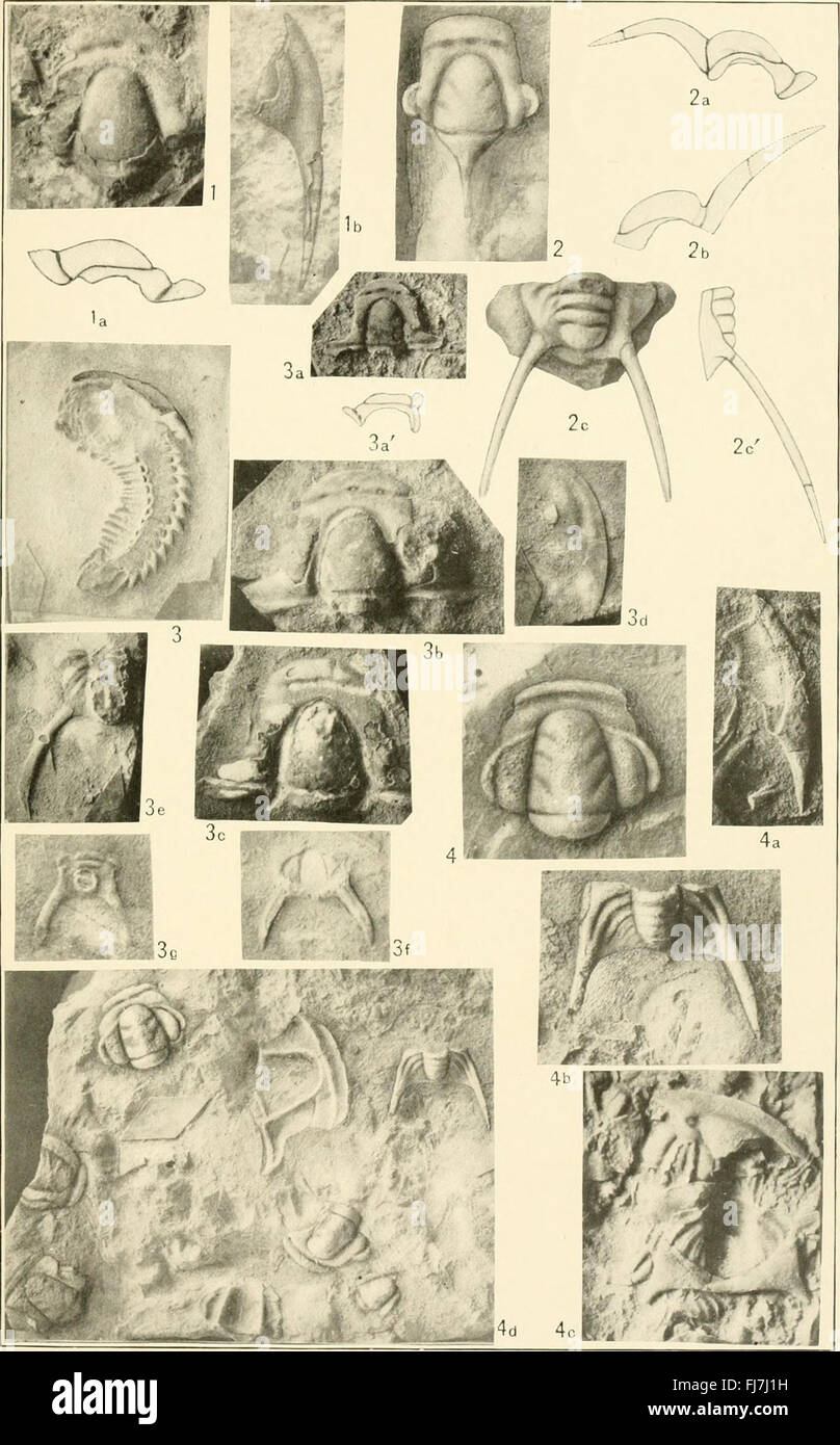 A collection of diverse scientific articles and illustrations from the ...
