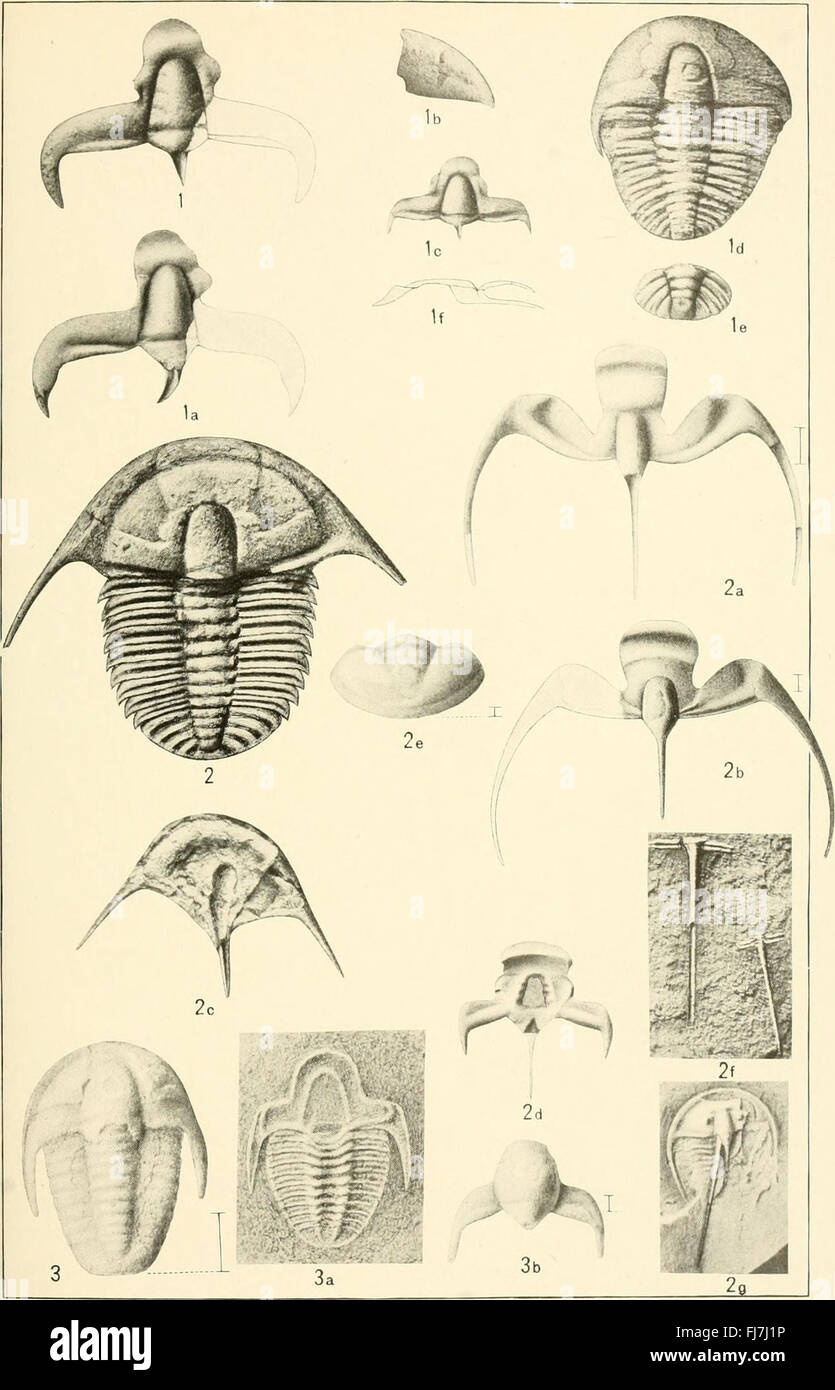 Smithsonian Institution Libraries Stock Photo - Alamy