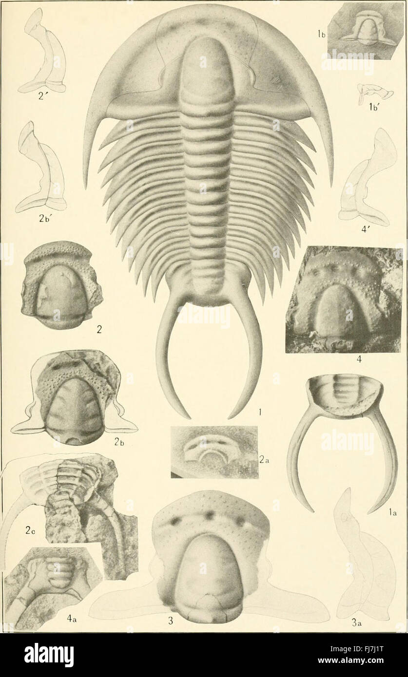 A collection of diverse scientific works from the Smithsonian ...