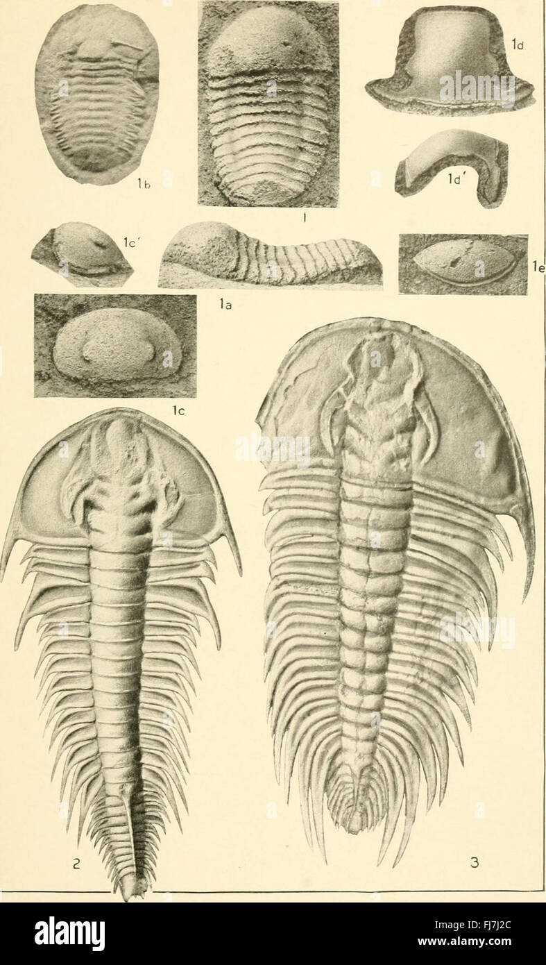 A collection of diverse scientific works from the Smithsonian ...