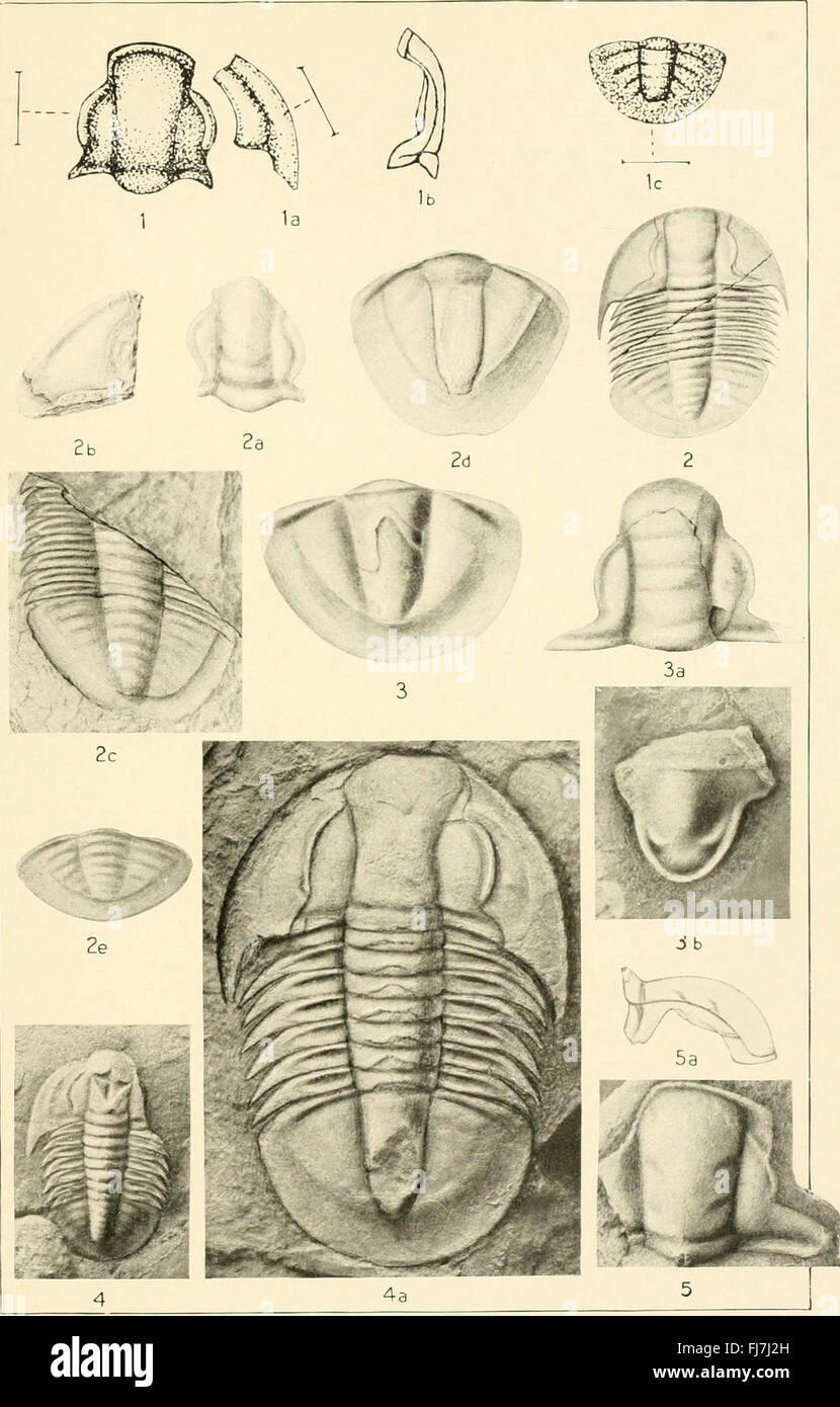 A collection of miscellaneous scientific articles published by the ...