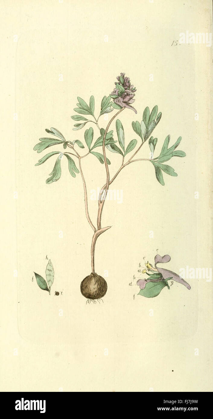 This study focuses on the flora of Sweden, providing pictorial ...