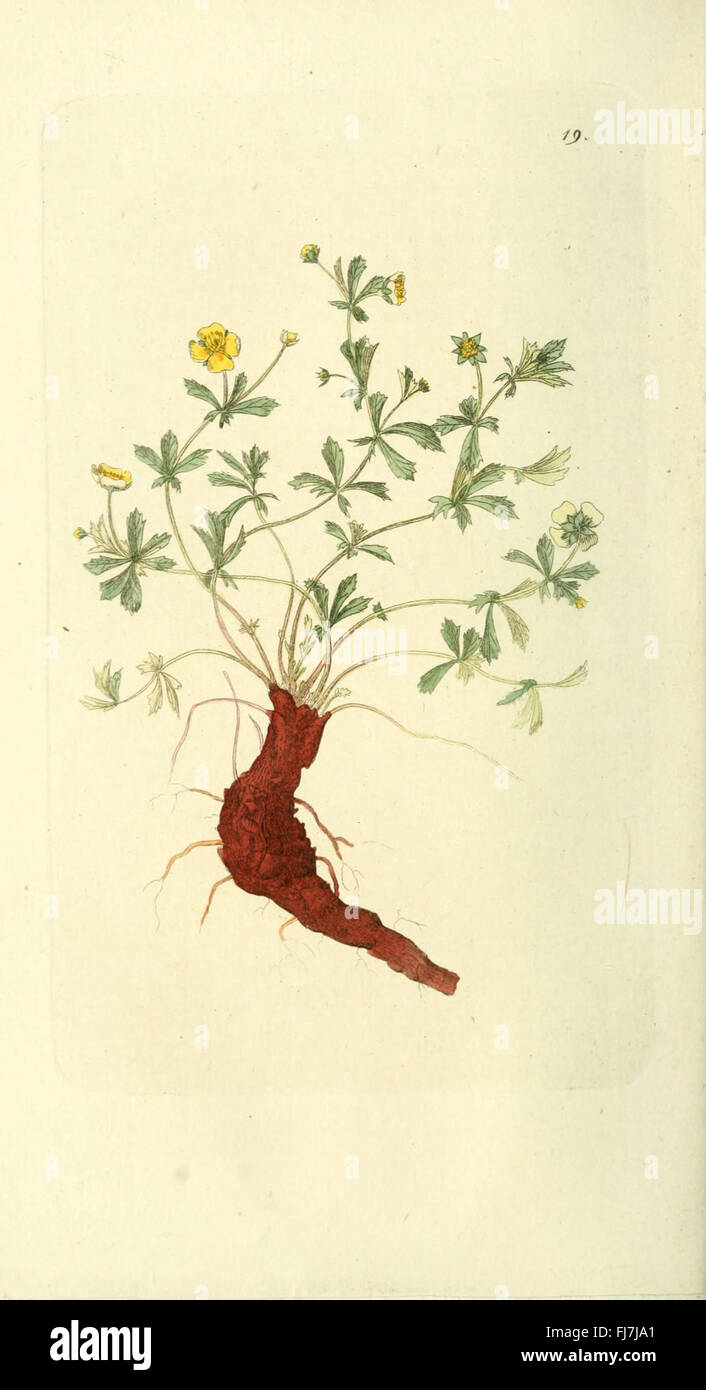 Swedish flora catalog hi-res stock photography and images - Alamy