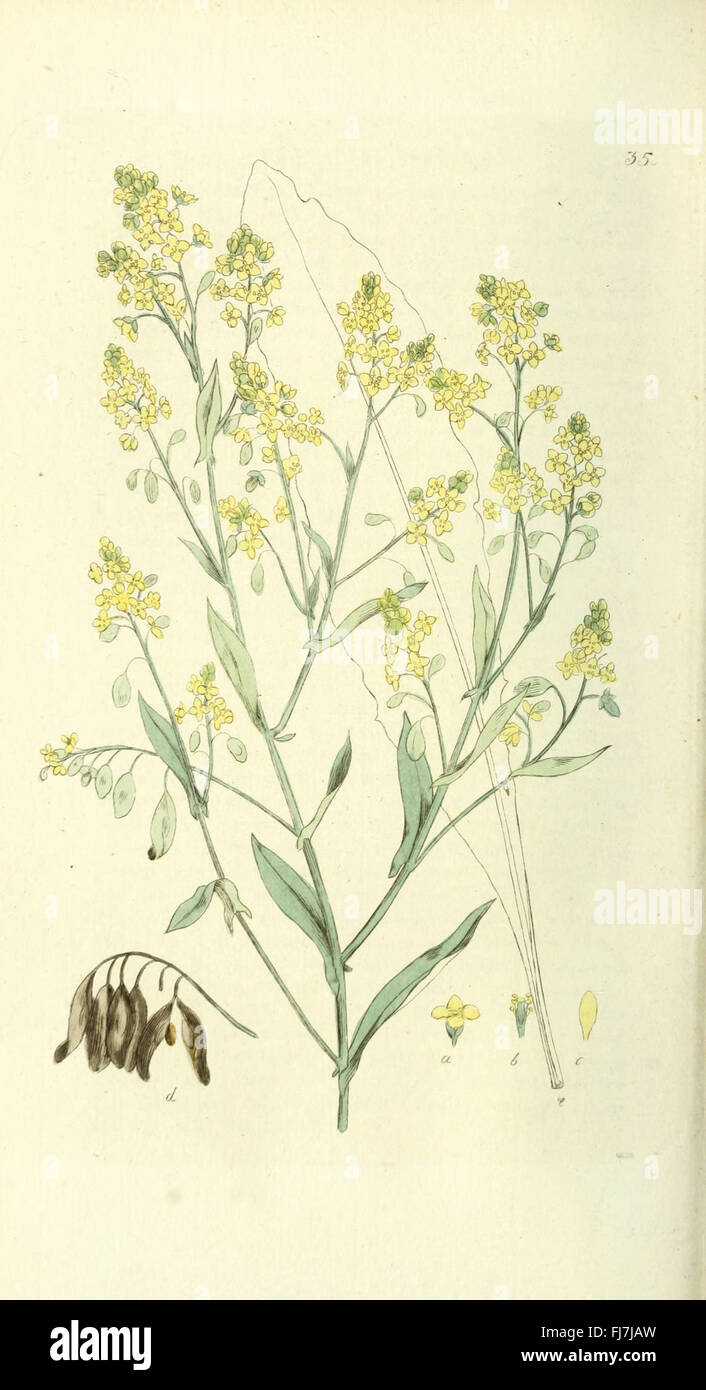 Swedish scientific works hi-res stock photography and images - Alamy