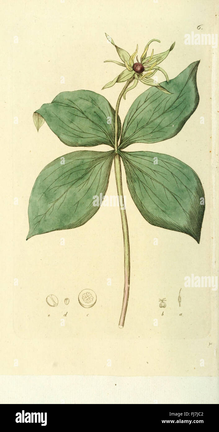 Swedish flora catalog hi-res stock photography and images - Alamy