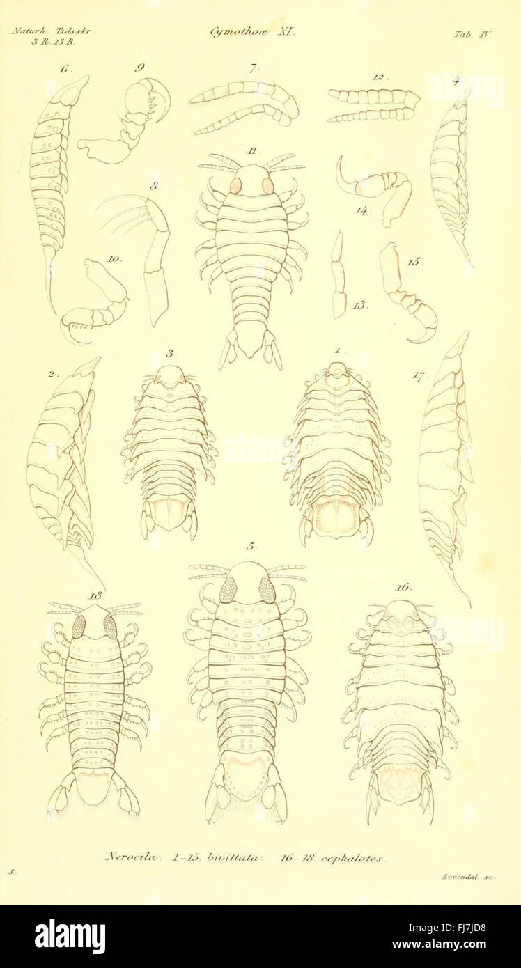 A scientific monograph on the isopod family Cymotharidae, focusing on ...
