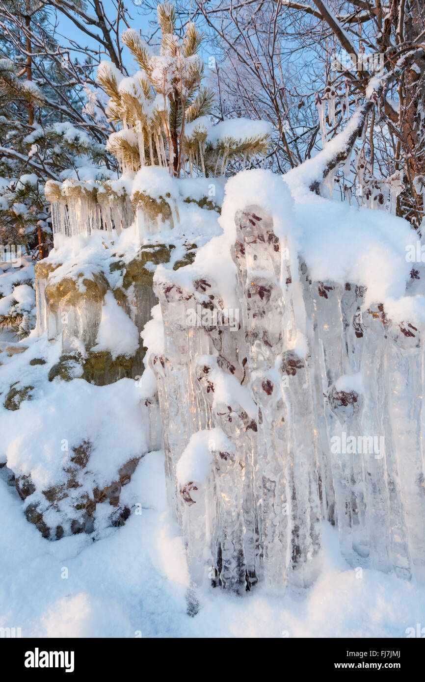 Beautiful icicle ice formation on small tree Stock Photo - Alamy